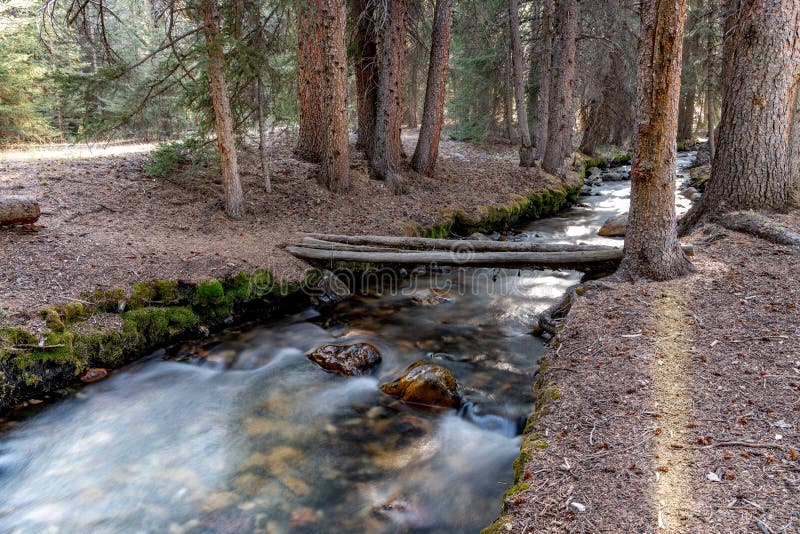 DIY Forest Bridge Build Out of Logs Crossing a Fast-moving Stream Stock ...