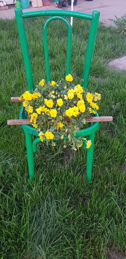 Diy Standing Chair for Flower Stock Photo - Image of yellow, wildflower ...