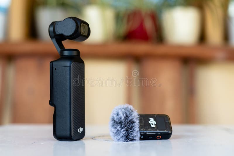 Cat Dead Microphone Stock Photos - Free & Royalty-Free Stock Photos ...