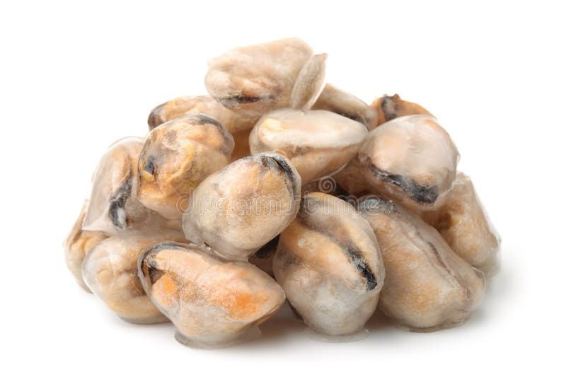 Lagad mat mussla arkivfoto. Bild av mussla, flotta, öppnat - 128843712