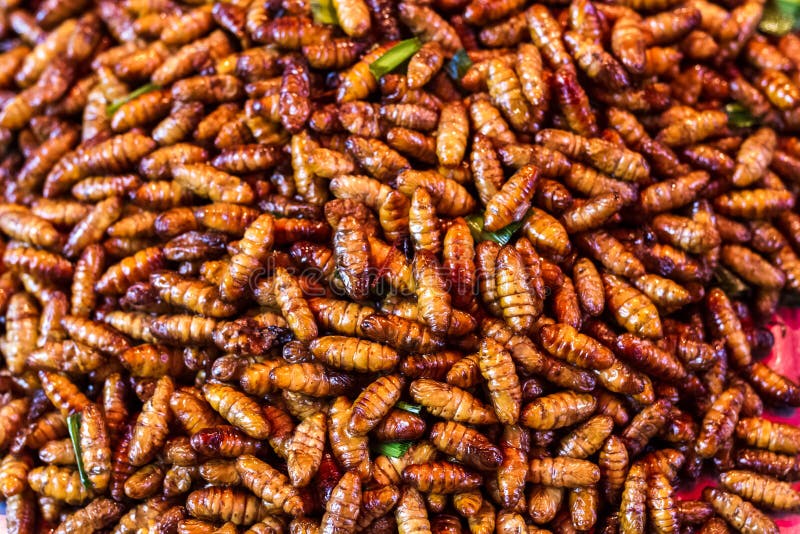 Djupt stekt avmaska fotografering för bildbyråer. Bild av puppa - 56763709