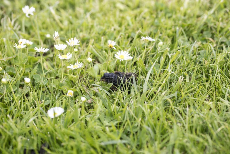 3,589 Spillning Foton - Gratis och royaltyfria stockfoton från Dreamstime