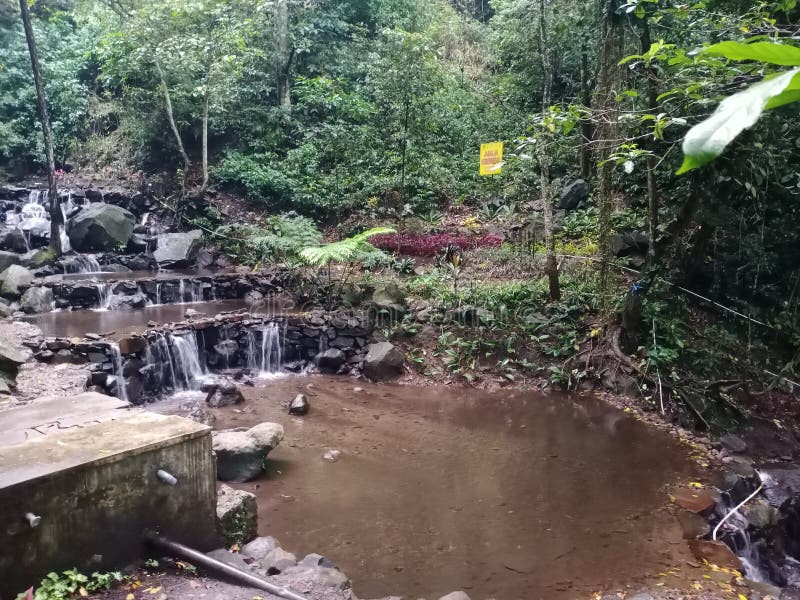 Dlundung waterfall part4 editorial stock image. Image of stream - 221198919