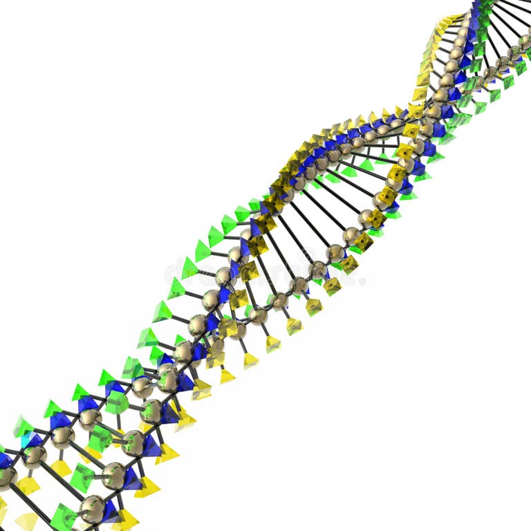Dna Rods Stock Illustrations – 336 Dna Rods Stock Illustrations ...