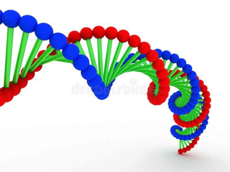 Double Helix DNA Strand stock vector. Illustration of deoxyribonucleic ...