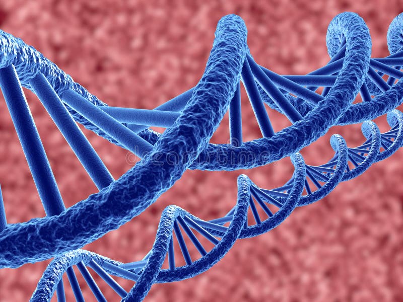 From Dna to cell stock illustration. Illustration of life - 24298020