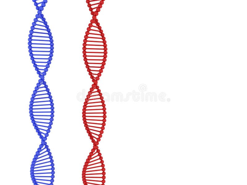 DNA red blue stock illustration. Illustration of life, exploring - 502264