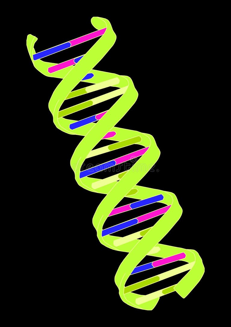 Crossed Double Helix Dna Stock Illustrations – 12 Crossed Double Helix ...