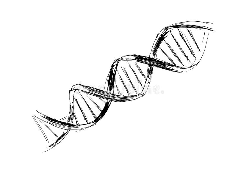 DNA illustrazione vettoriale. Illustrazione di catena - 53834013