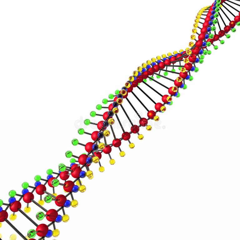 Dna Rods Stock Illustrations – 336 Dna Rods Stock Illustrations ...