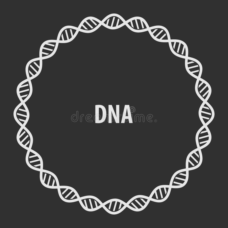 DNA Abstract Round Frame, Human Genetic Symbol Stock Vector ...