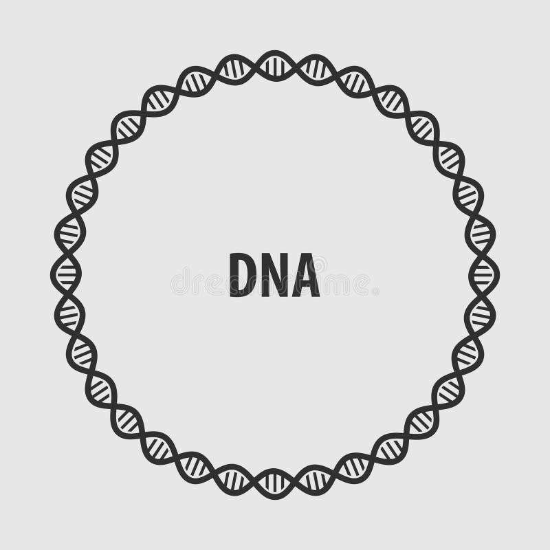 DNA Abstract Round Frame, Human Genetic Symbol Stock Vector ...