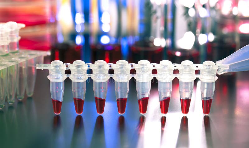 DNA amplification by PCR stock photo. Image of tube, development - 39098864