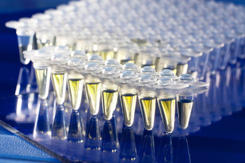 DNA amplification stock image. Image of multichannel - 41376173