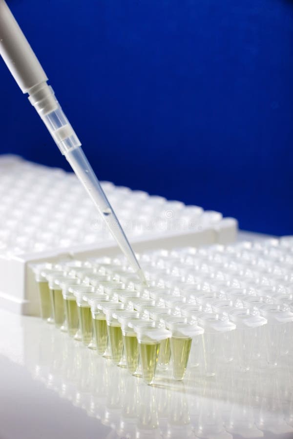 DNA amplification stock photo. Image of equipment, chemistry - 35197568