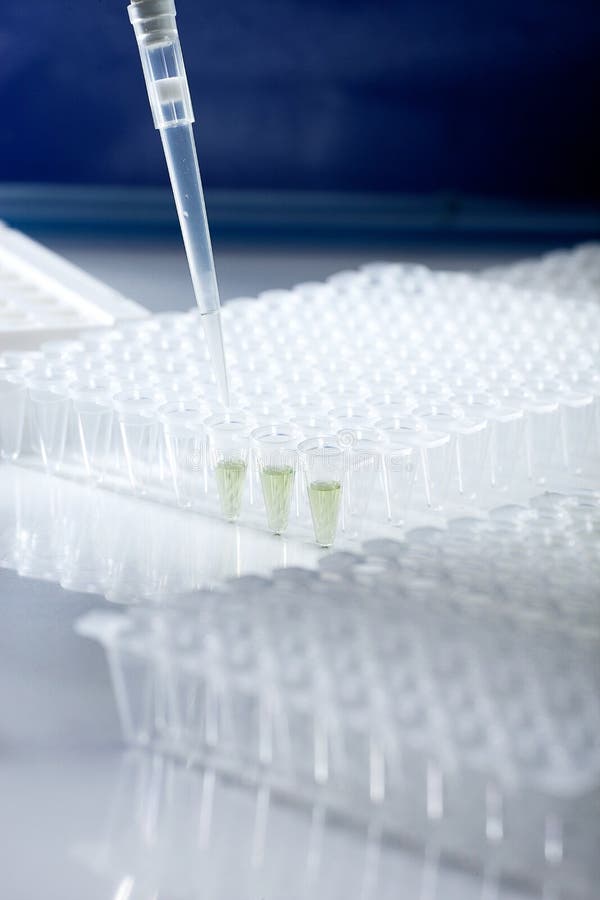 DNA amplification stock image. Image of microbiology - 35197665