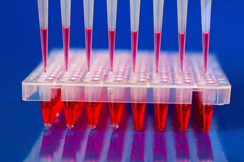 DNA analysis stock image. Image of sequencing, microwells - 28843869