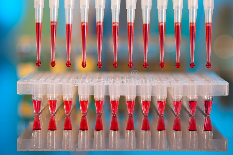 96-well Plate with Multichannel Pipette Stock Image - Image of ...
