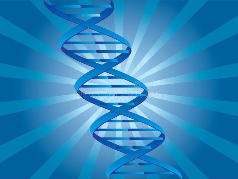 Dna stock vector. Illustration of biotech, healthy, deoxyribonucleic ...