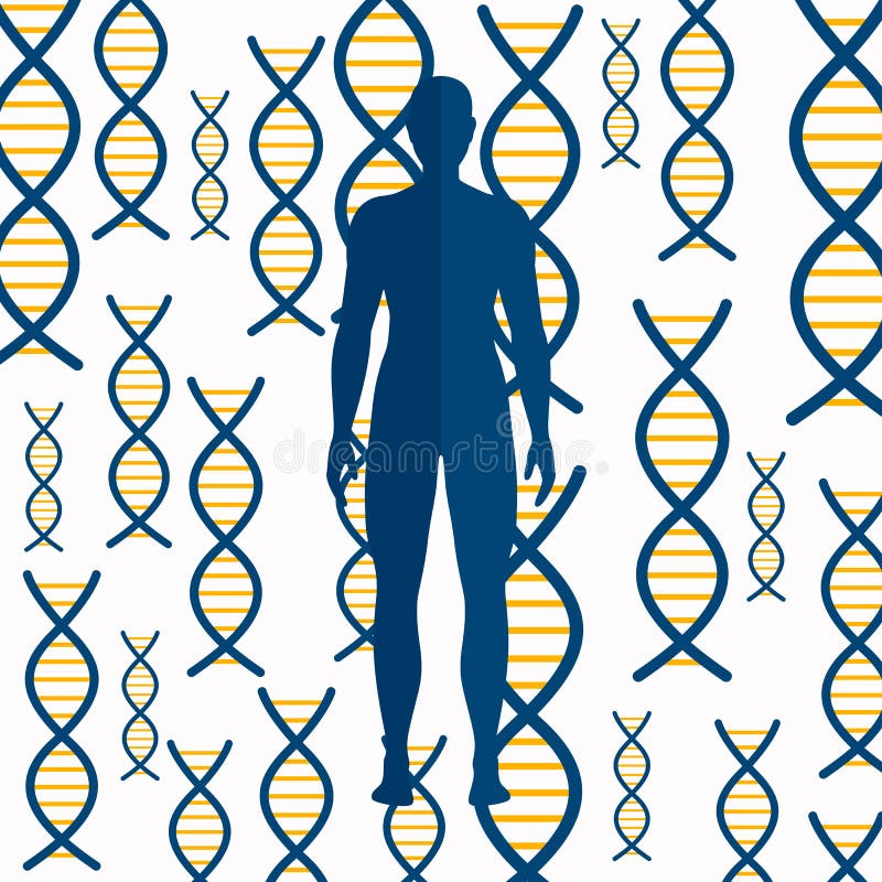 DNA strand, muscular man. stock illustration. Illustration of body ...