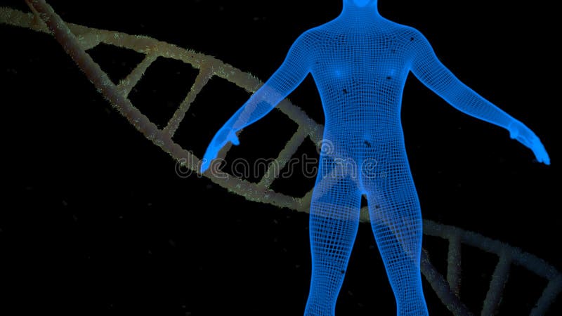 DNA and blue human stock illustration. Illustration of abstract - 69737520
