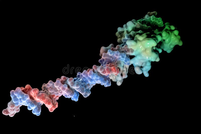 Dna Cell Model Research Concept, 3D Rendering Stock Illustration ...
