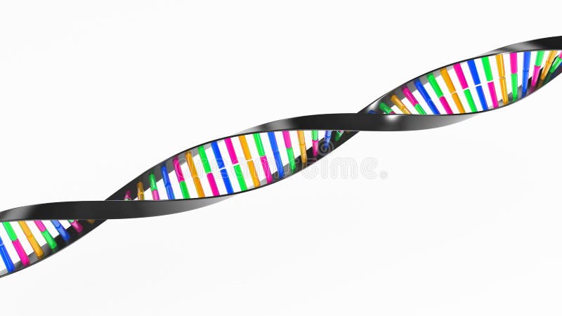 DNA Chain stock illustration. Illustration of inheritance - 11588904