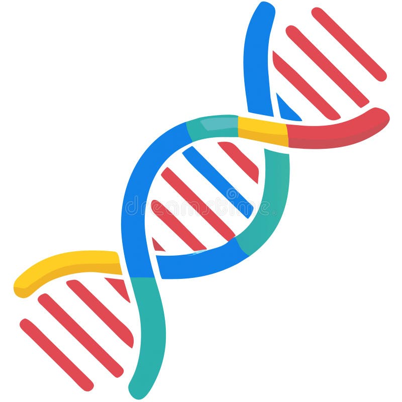 Basic Dna Structure Stock Illustrations – 210 Basic Dna Structure Stock ...