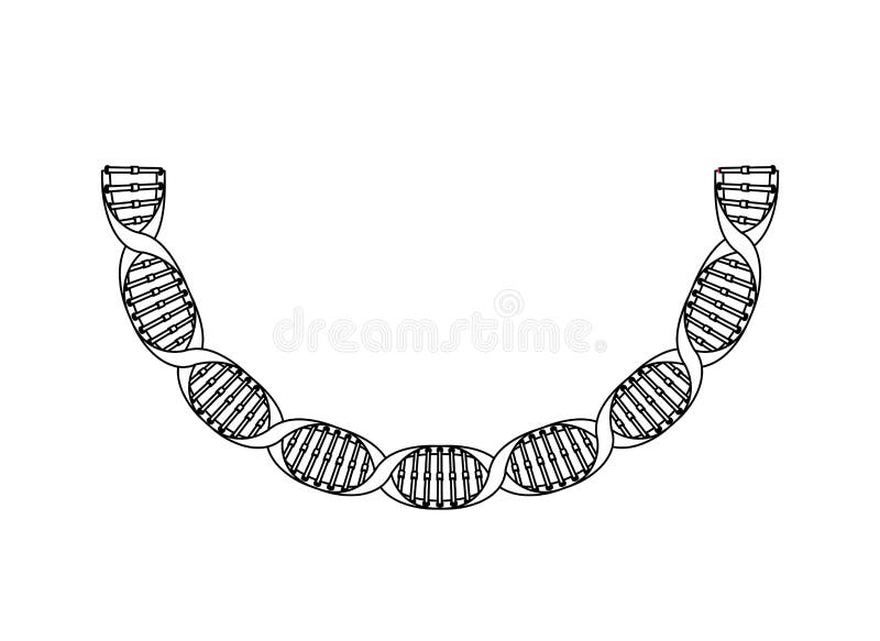 Dna Chain with Curve Science Icon Stock Vector - Illustration of ...