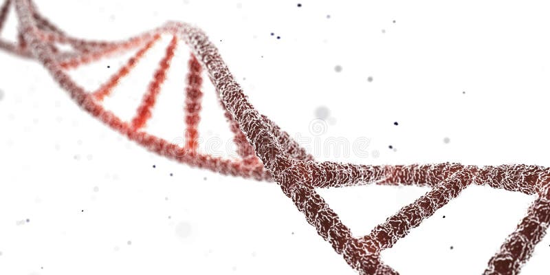 DNA Chain stock illustration. Illustration of biology - 11588904