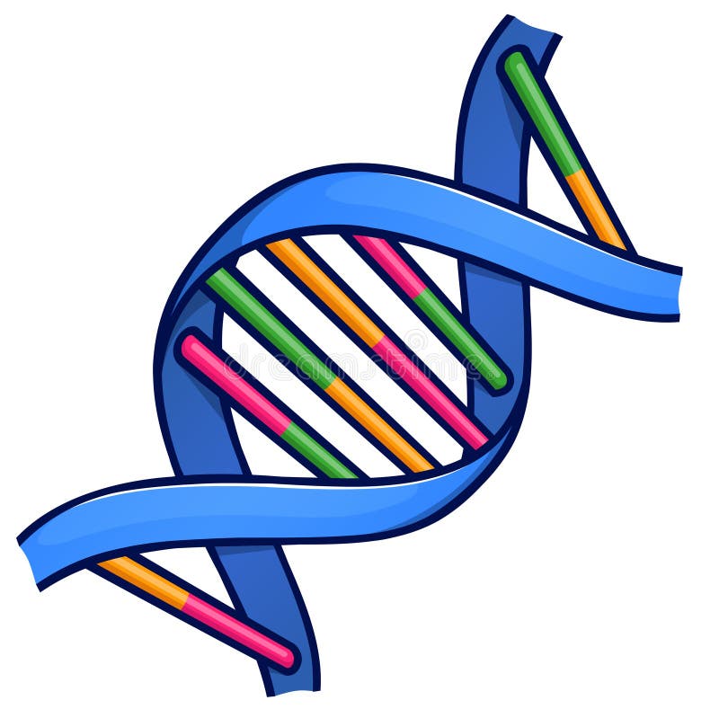 Dna or Chromosome Cartoon Isolated Stock Vector - Illustration of ...