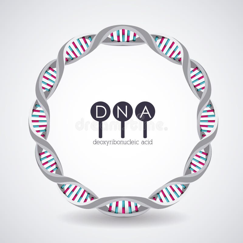 Dna Circle Structure Chromosome Design Stock Vector - Illustration of ...