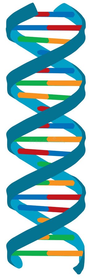 DNA Color Illustration, Isolated Stock Illustration - Illustration of ...
