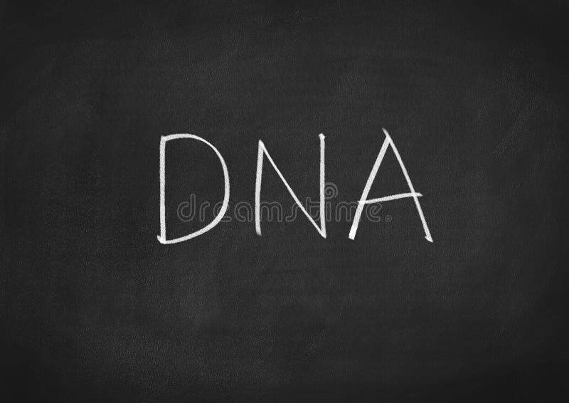 DNA Word Strand Genetics Heredity Medical Research Stock Illustration ...