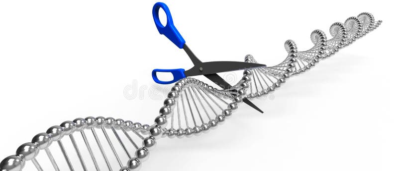 DNA CUT stock illustration. Illustration of molecular - 63599294