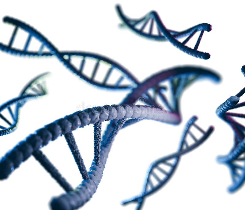 DNA 3D models isolated stock illustration. Illustration of biochemistry ...