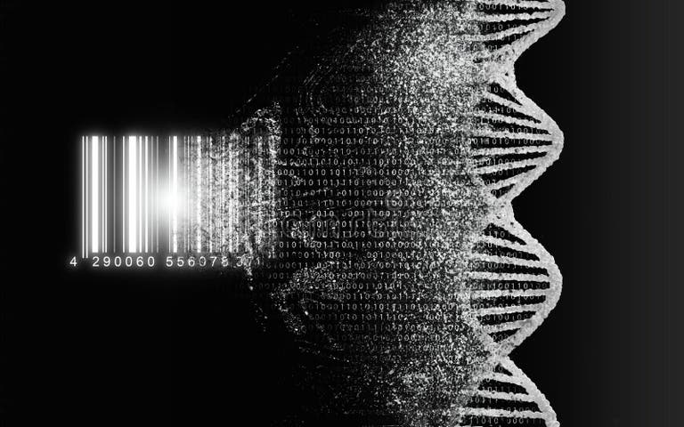 Genetic Code Bar Stock Illustrations – 48 Genetic Code Bar Stock ...