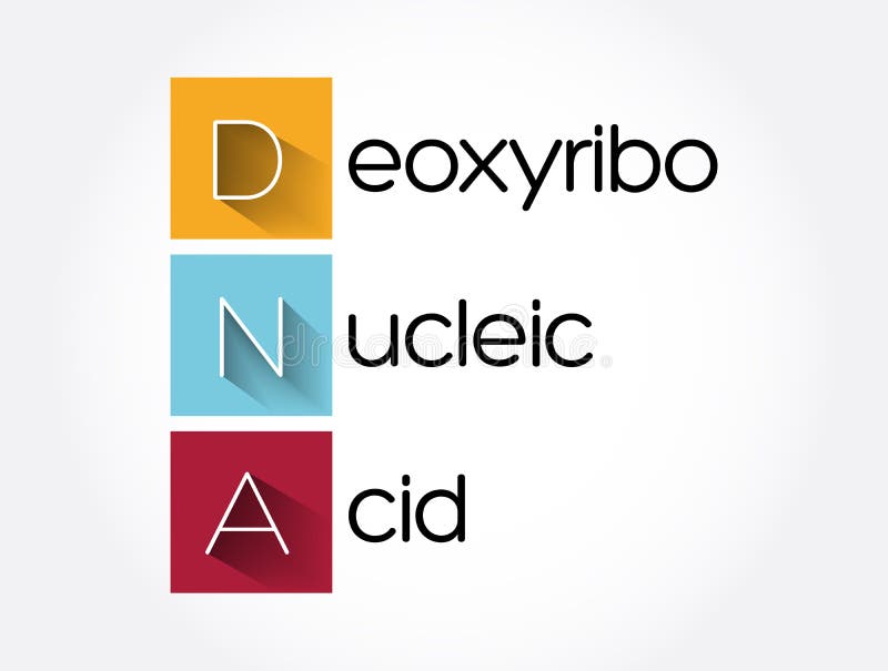 Acid Acronym Stock Illustrations – 141 Acid Acronym Stock Illustrations ...