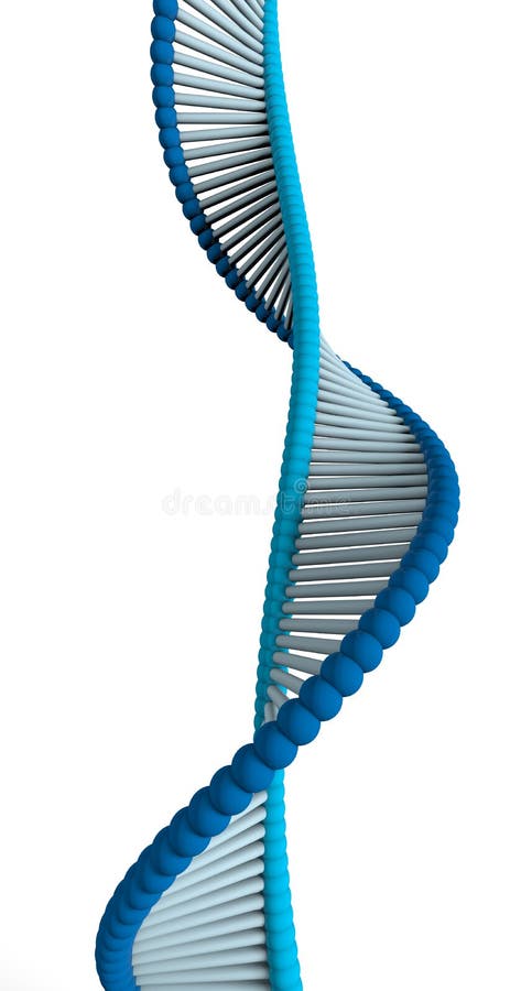 DNA is a Thread-like Chain of Nucleotides Carrying the Genetic ...