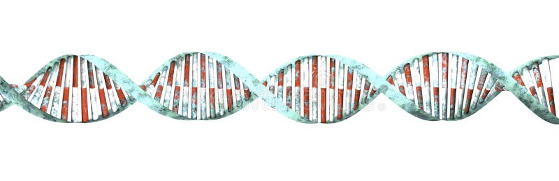 DNA is a Thread-like Chain of Nucleotides Carrying the Genetic ...
