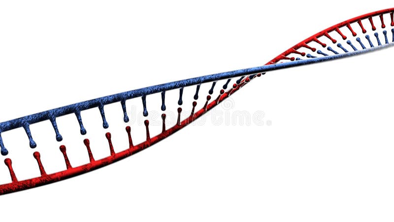 DNA is a Thread-like Chain of Nucleotides Carrying the Genetic ...