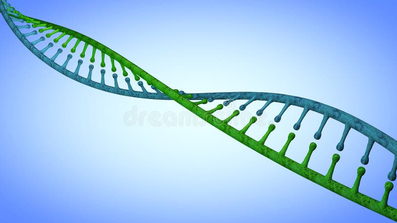 DNA is a Thread-like Chain of Nucleotides Carrying the Genetic ...