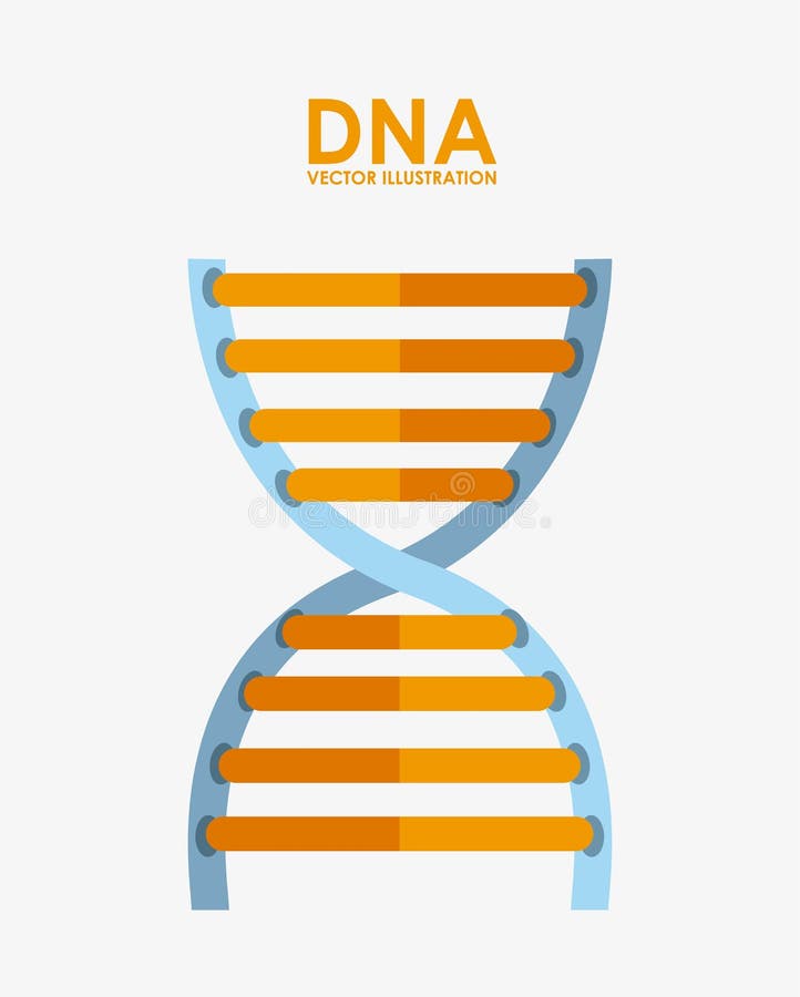 Dna Chromosome - Outline Styled Icon - Editable Stroke - Colorful ...