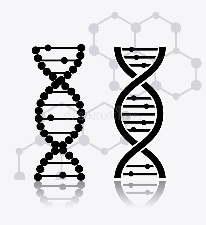 DNA design. stock vector. Illustration of molecular, structure - 61576547