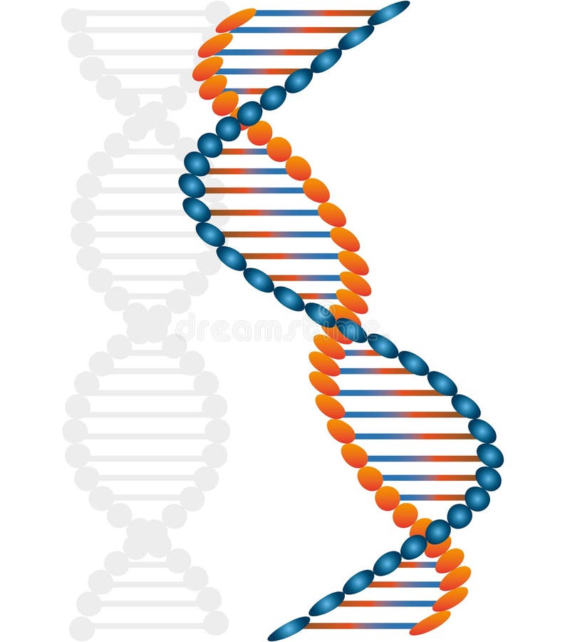 DNA Design, Vector Illustration. Stock Vector - Illustration of ...