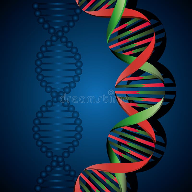 DNA Design, Vector Illustration. Stock Vector - Illustration of cell ...