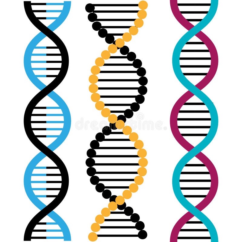 DNA Design, Vector Illustration. Stock Vector - Illustration of symbol ...
