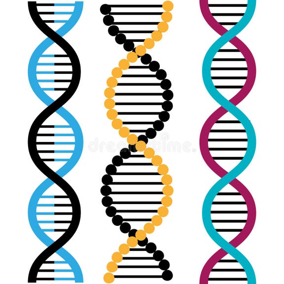 DNA Design, Vector Illustration. Stock Vector - Illustration of symbol ...