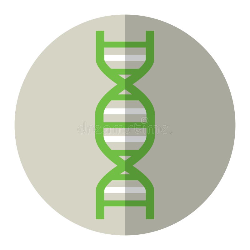 Dna Diagram. Vector Illustration Decorative Design Stock Vector ...