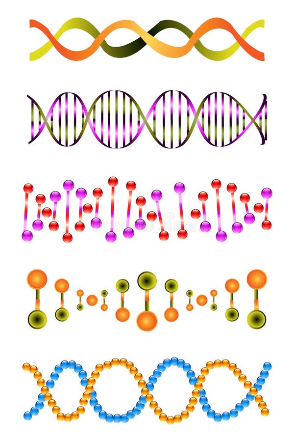DNA Yellow And Orange Helix Colorful Illustration Stock Vector ...